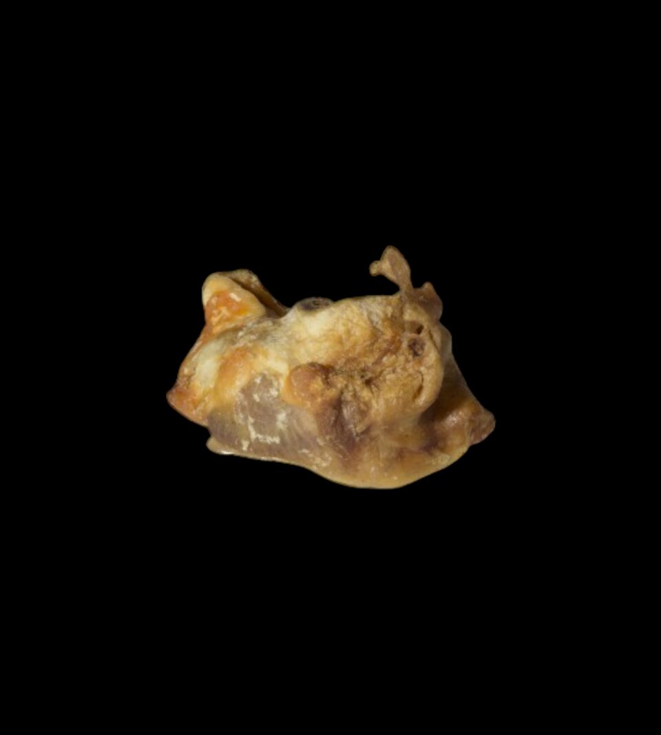 Porky Bites for Dogs: Nutritious & Flavorful Chews